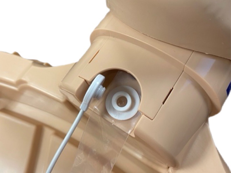 PRESTAN Adult Series 2000 Manikin - PRESTAN Asia